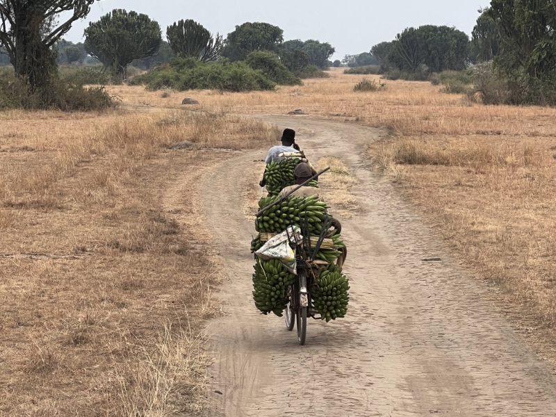 Oeganda | Queen Elizabeth National Park | Hanneke op reis